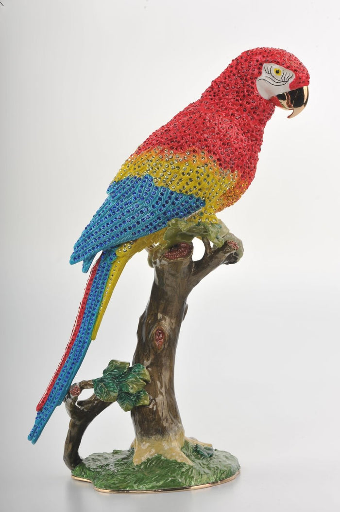 Colorful Parrot
