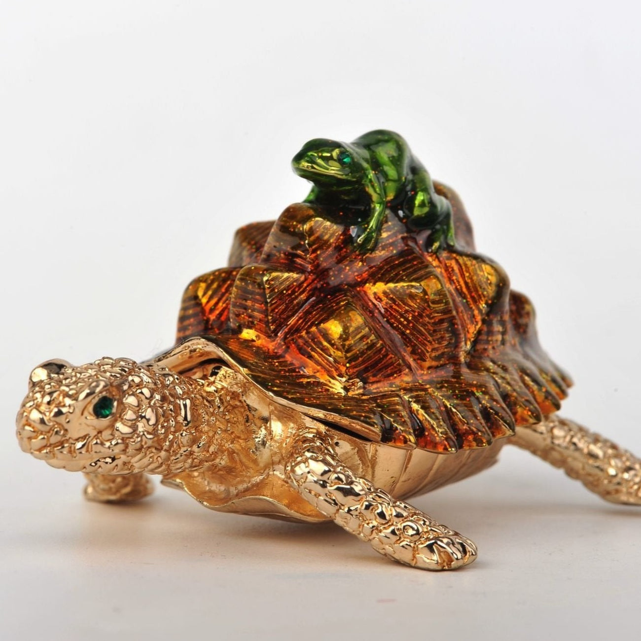 Frog on a Turtle