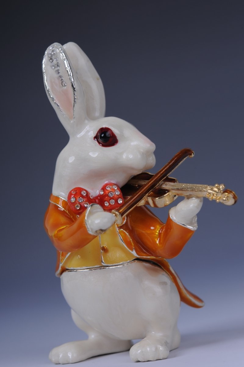 Rabbit Playing the Violin