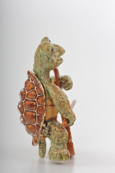 Turtle Playing the Cello