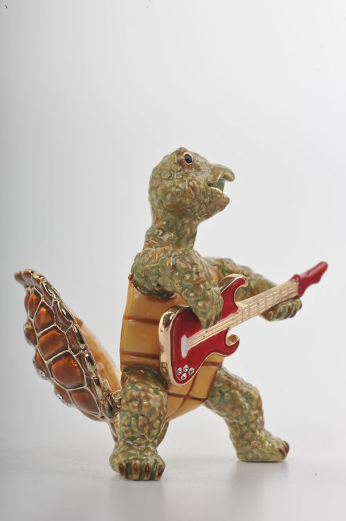 Turtle Playing the Guitar