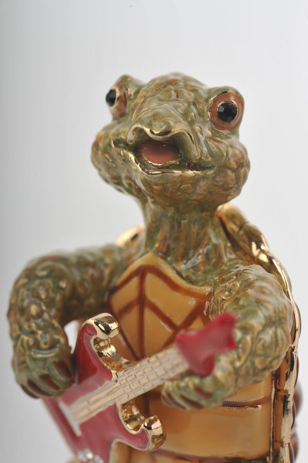 Turtle Playing the Guitar