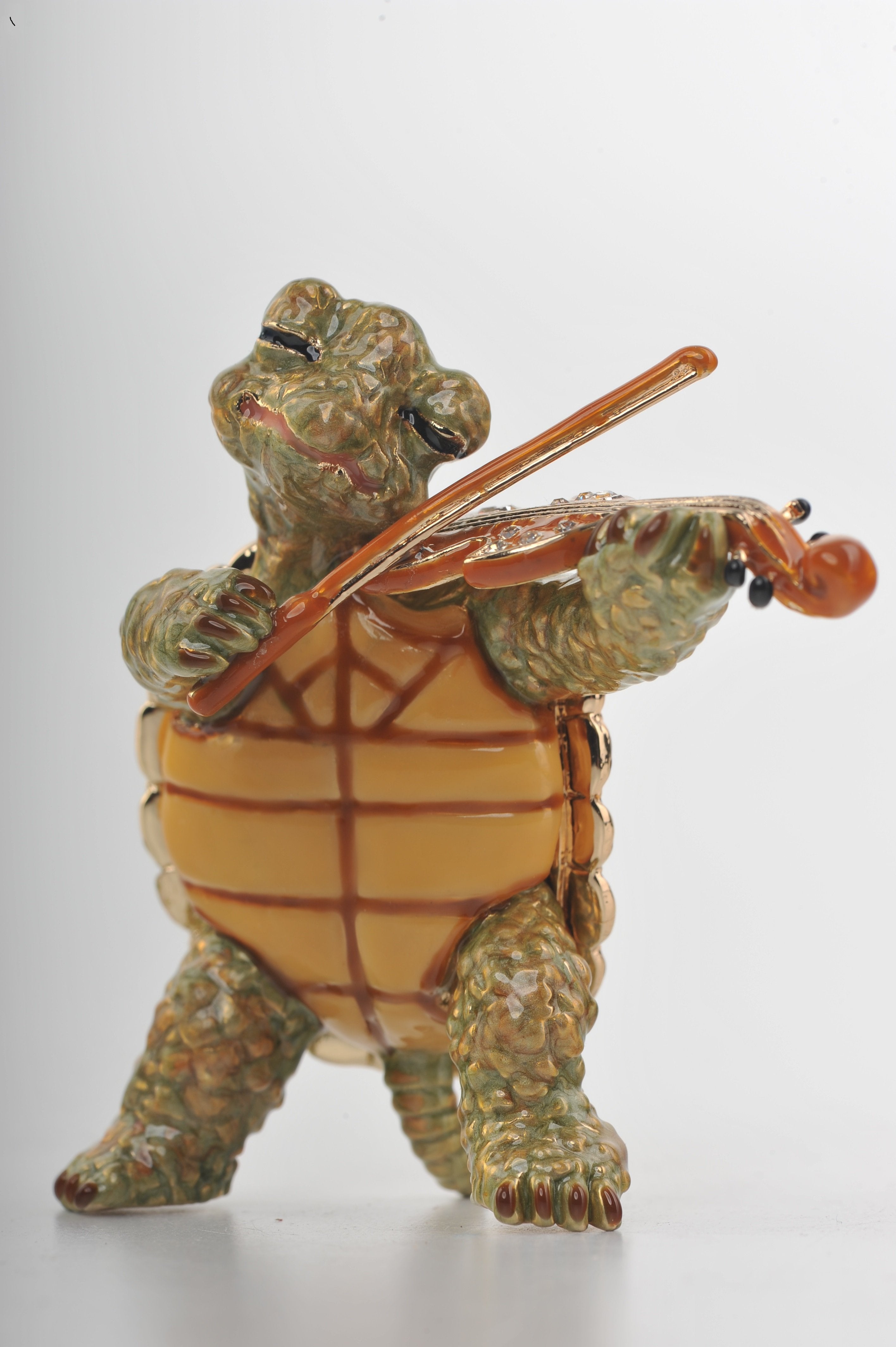 Turtle Playing the Violin