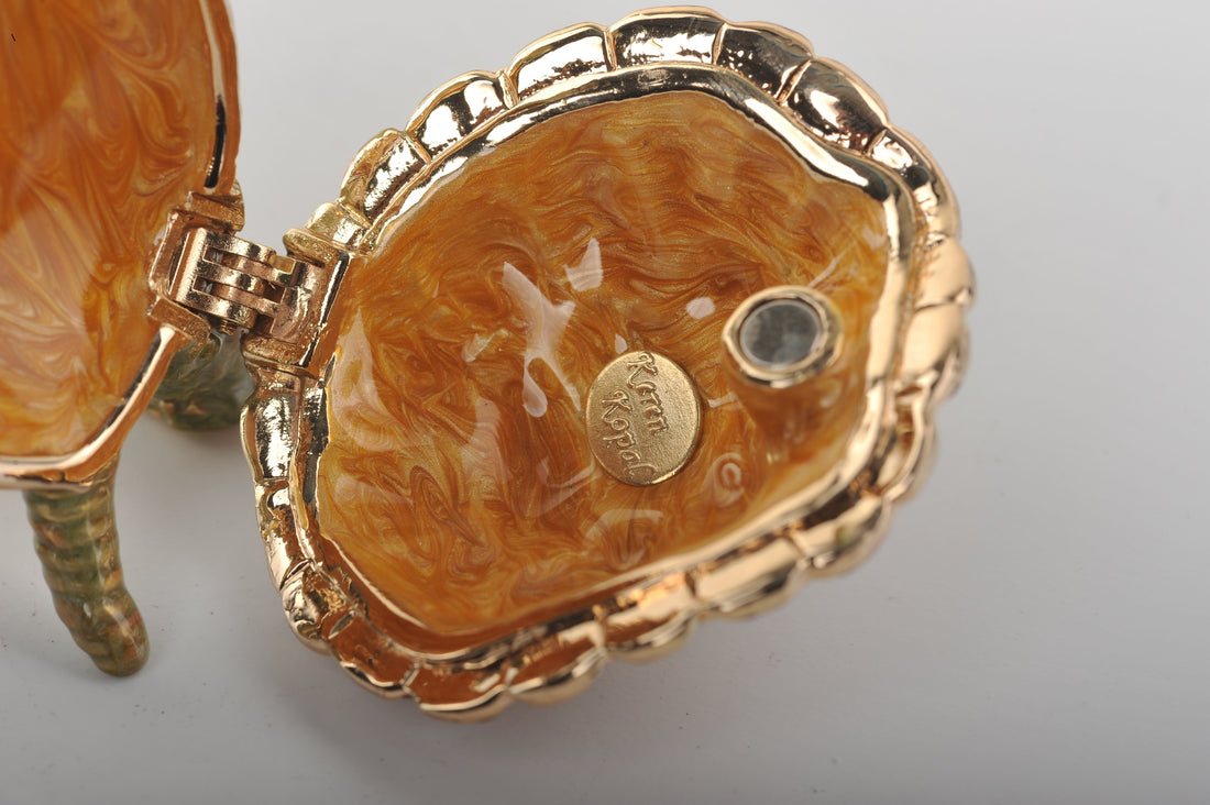 Turtle Playing the Violin