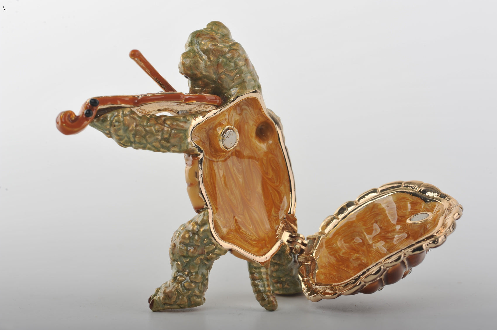 Turtle Playing the Violin