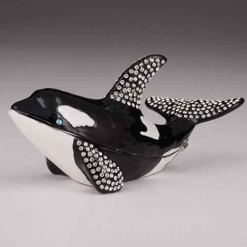 Orca Whale